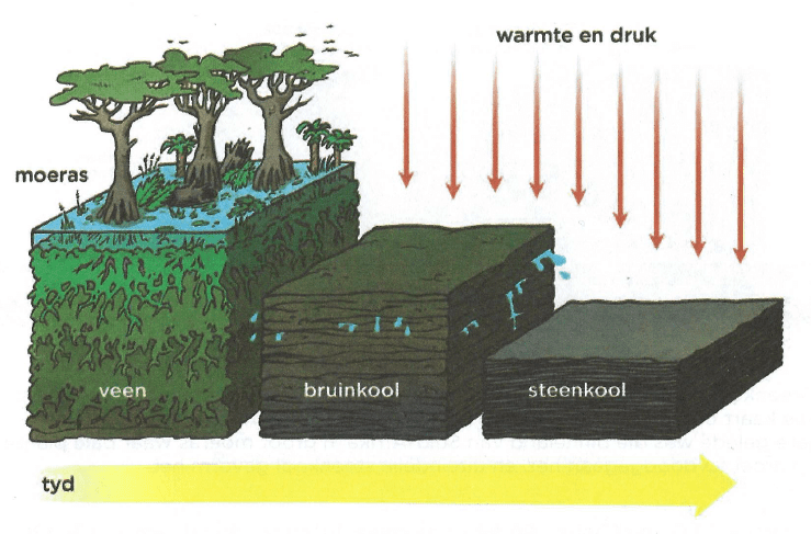 De Steenkool mijnen in Zuid Limburg | De Geobronnen
